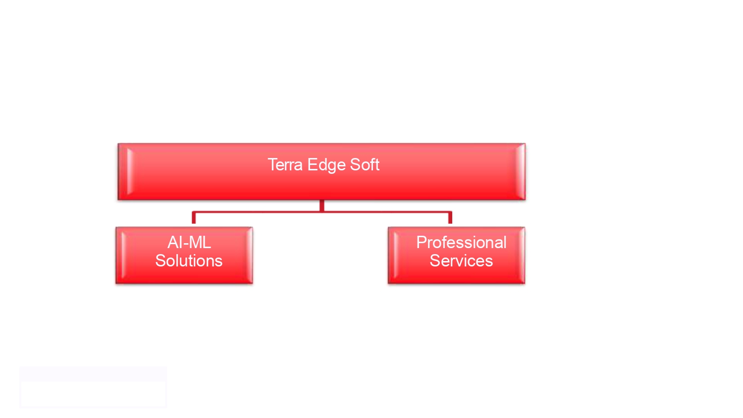 About – Terra EdgeSoft